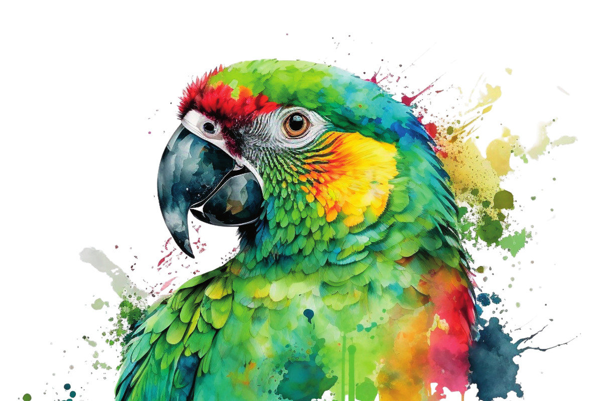 Parrot Watercolor Illustration Set