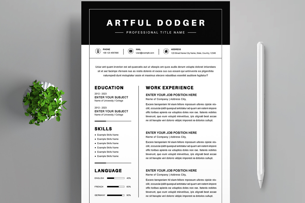 Resume Template Layout