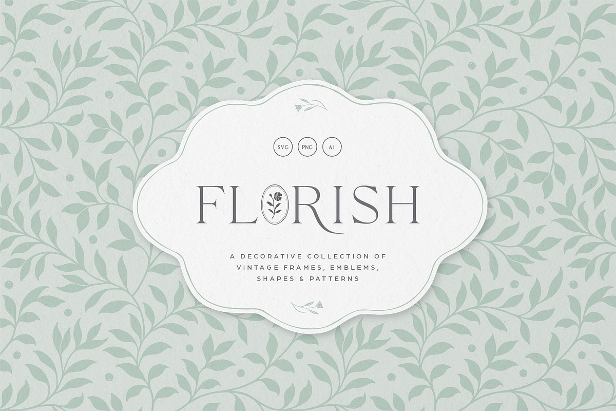 Florish Decorative Vector Collection, an Object Graphic by rouxsupplyco