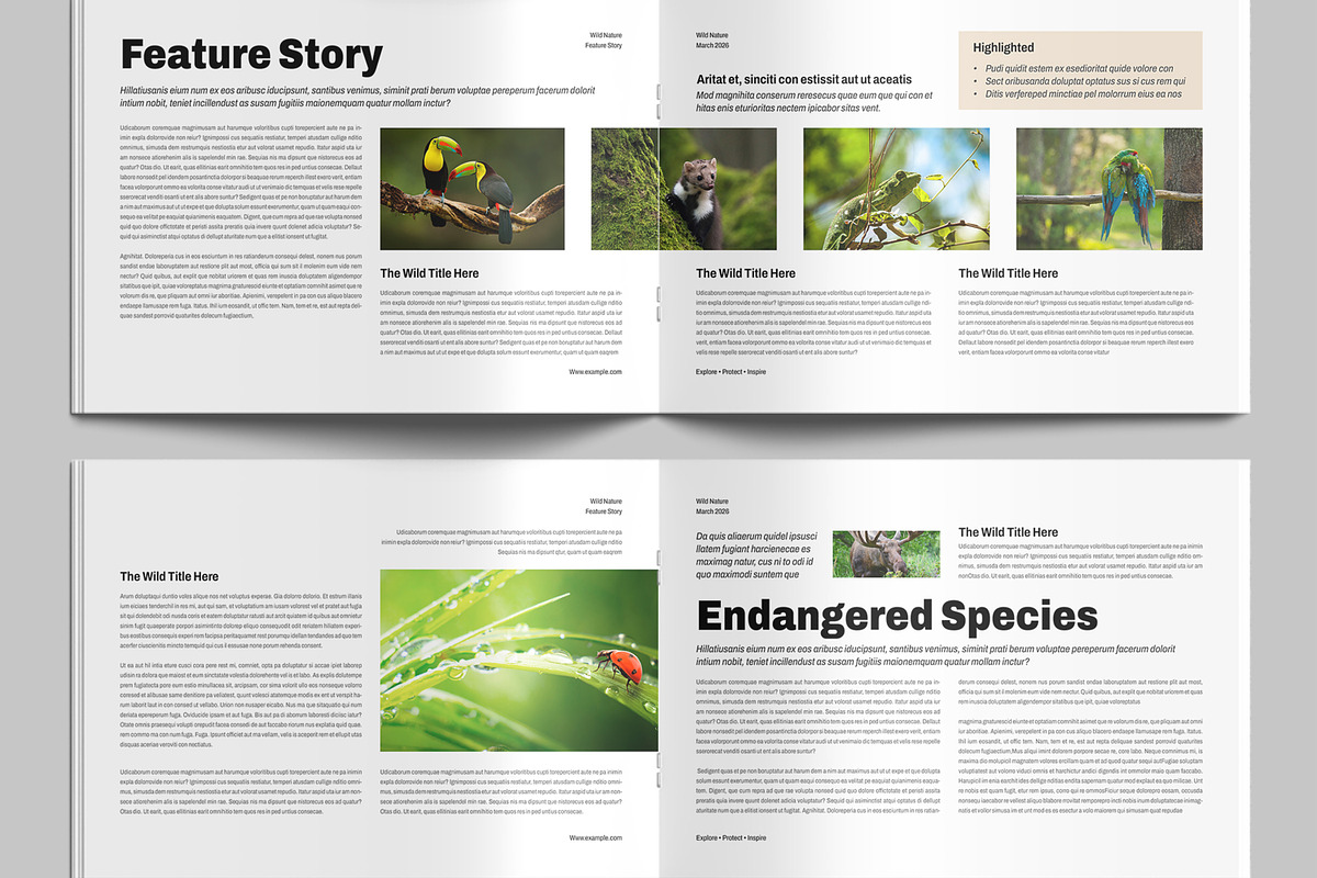 Wildlife Magazine Template