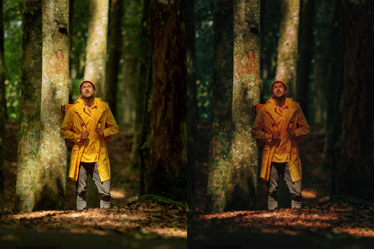 15 Moody Woods Lightroom Presets, a Preset Add-On by RamsaGraphi