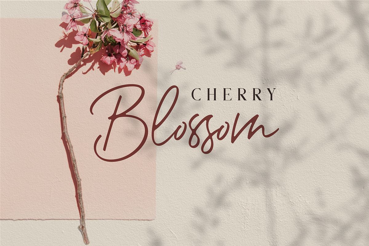 Romantic Couple // Font Duo, a Script Font by Bluestudio | couple font ...