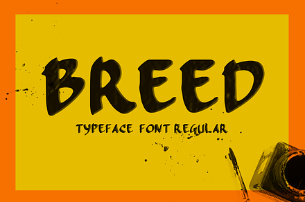Broad font, a Font by greatypes studio