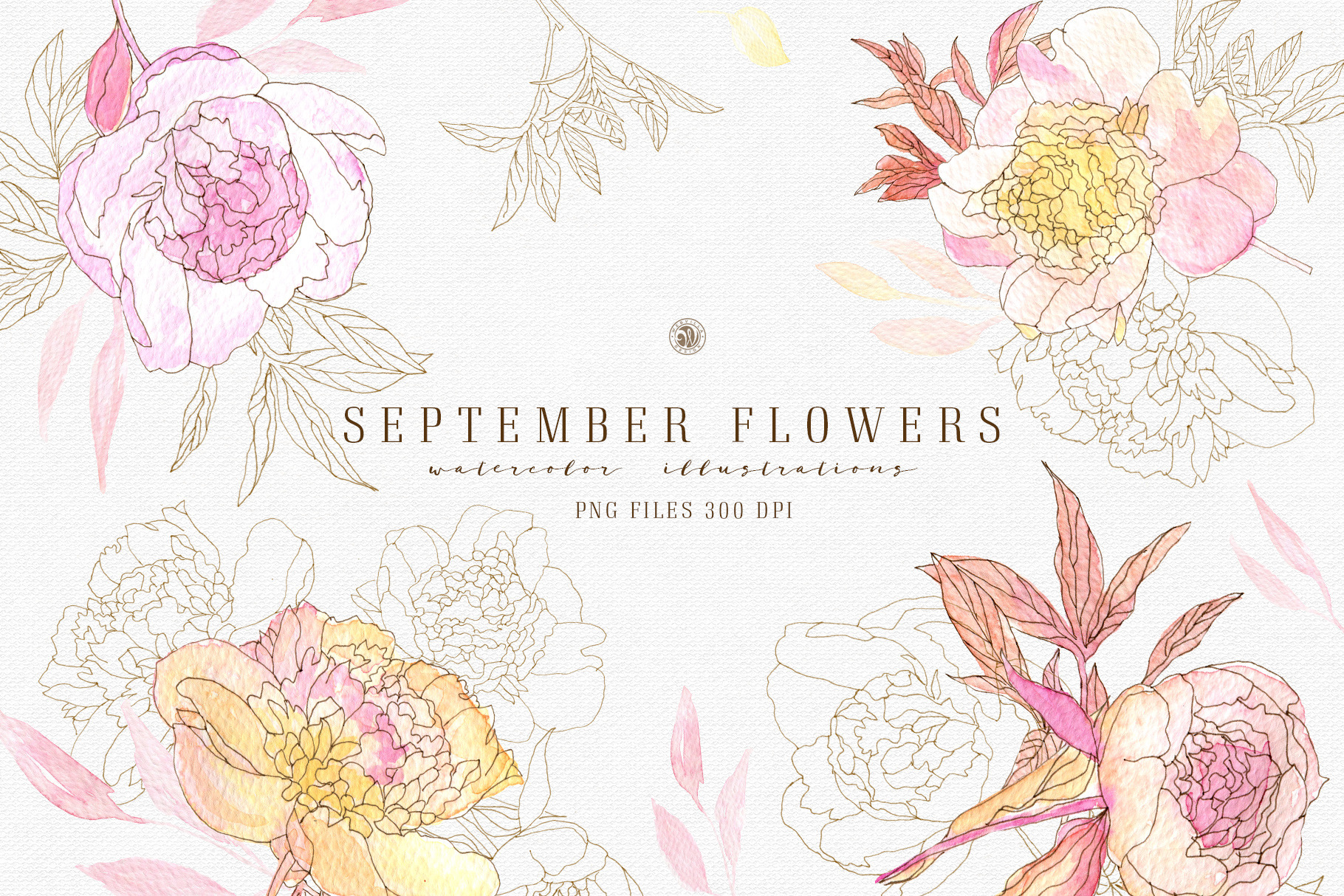 September Flowers vol.2, a Decorative Illustration by Webvilla Studio