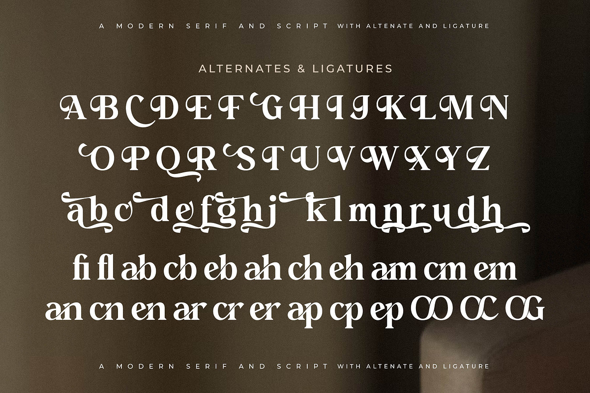 Celestial Heavenly Font Duo, a Serif Font by Storytype Studio