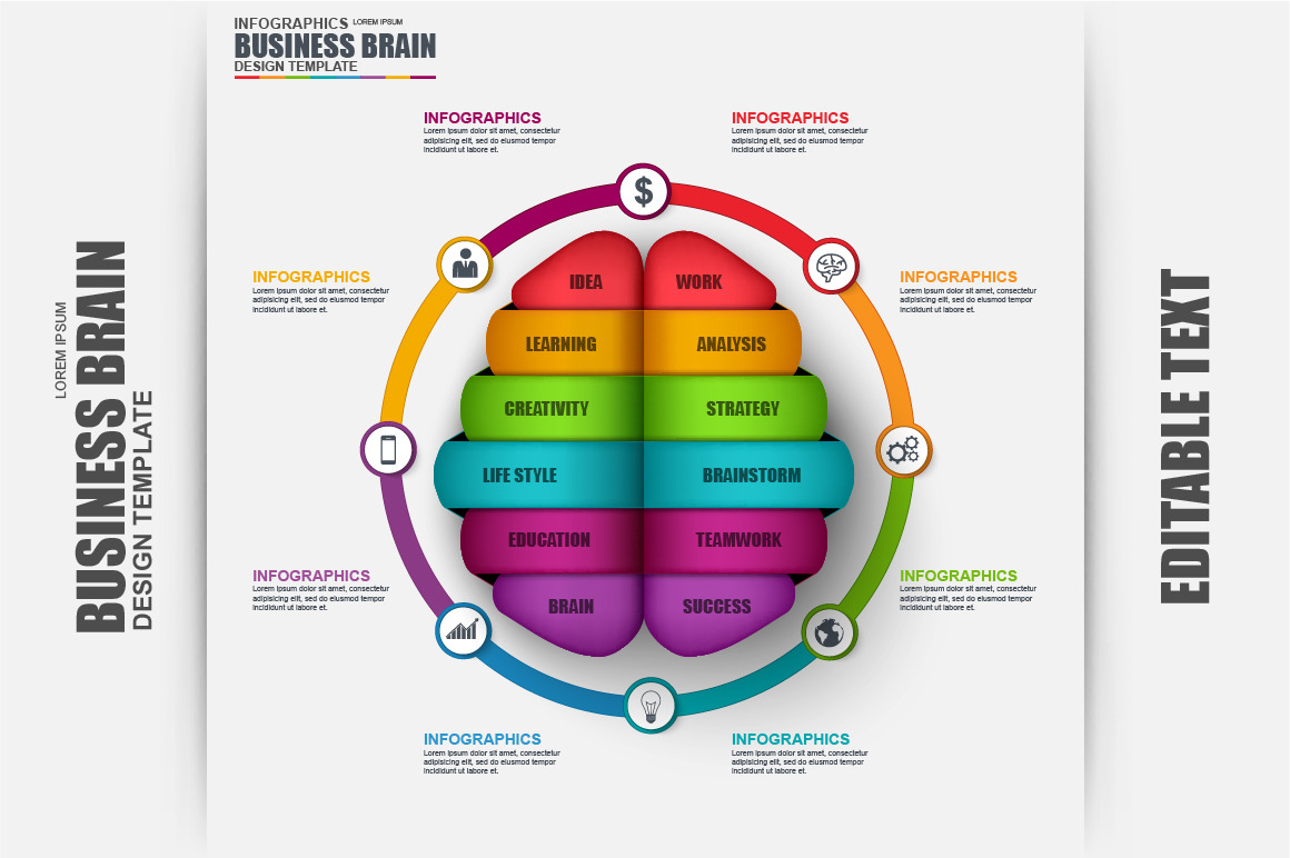 Business Infographics Brain Vector, a Presentation Template by alexdndz