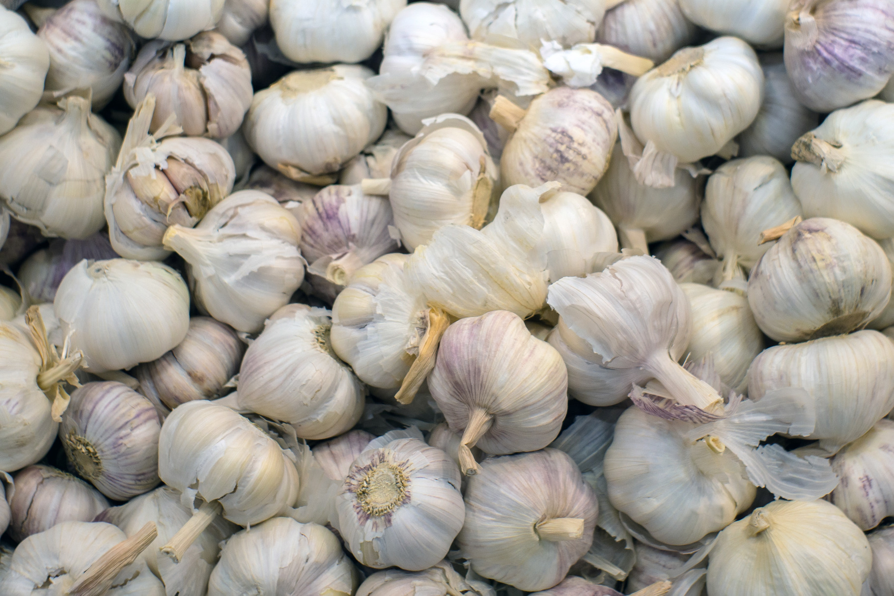 Dried garlic background, texture | Food Images ~ Creative Market