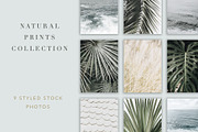 Natural Prints Collection, a Nature Photo by Floral Deco