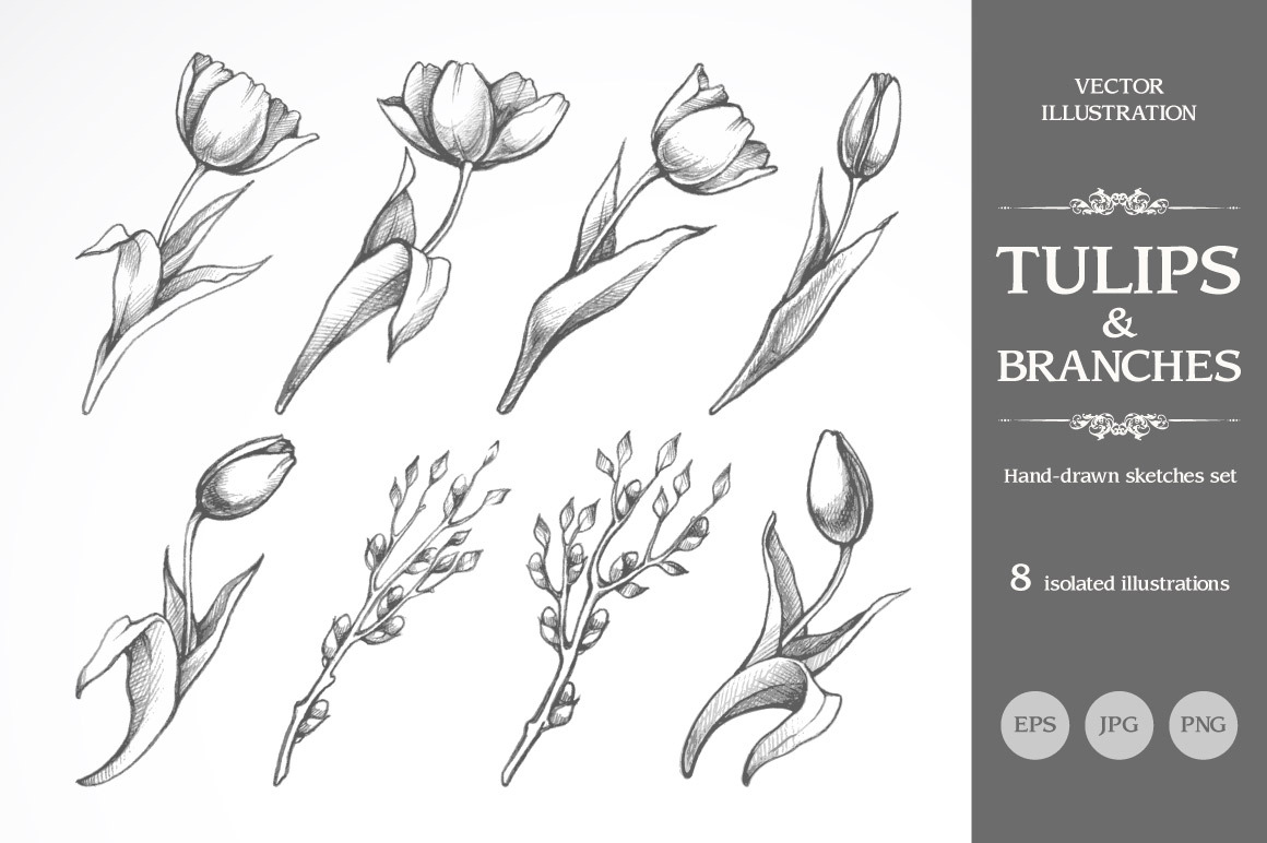 Hand drawn spring flowers set, an Illustration by Color and Decor