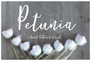 Petunia Script, a Script Font by Nineteenth Studio