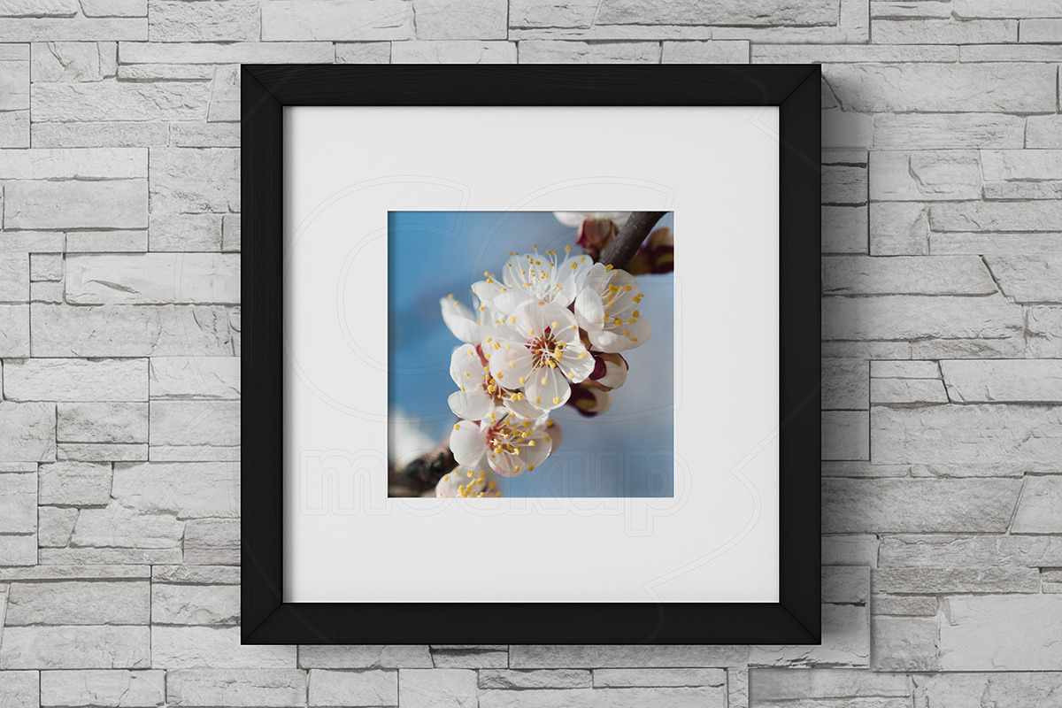 Changeable backdrop creator mockup, a Household Mockup by CGmockup ...