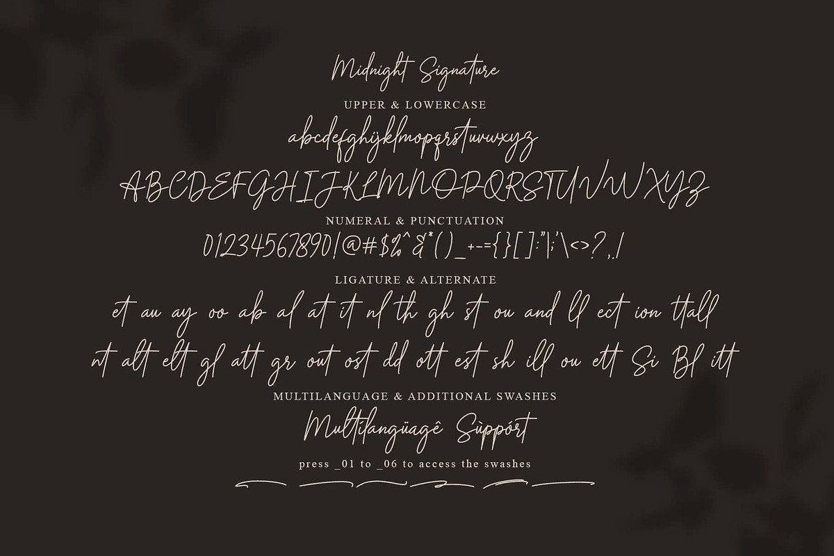 Midnight Signature Font, a Script Font by MJB Letters