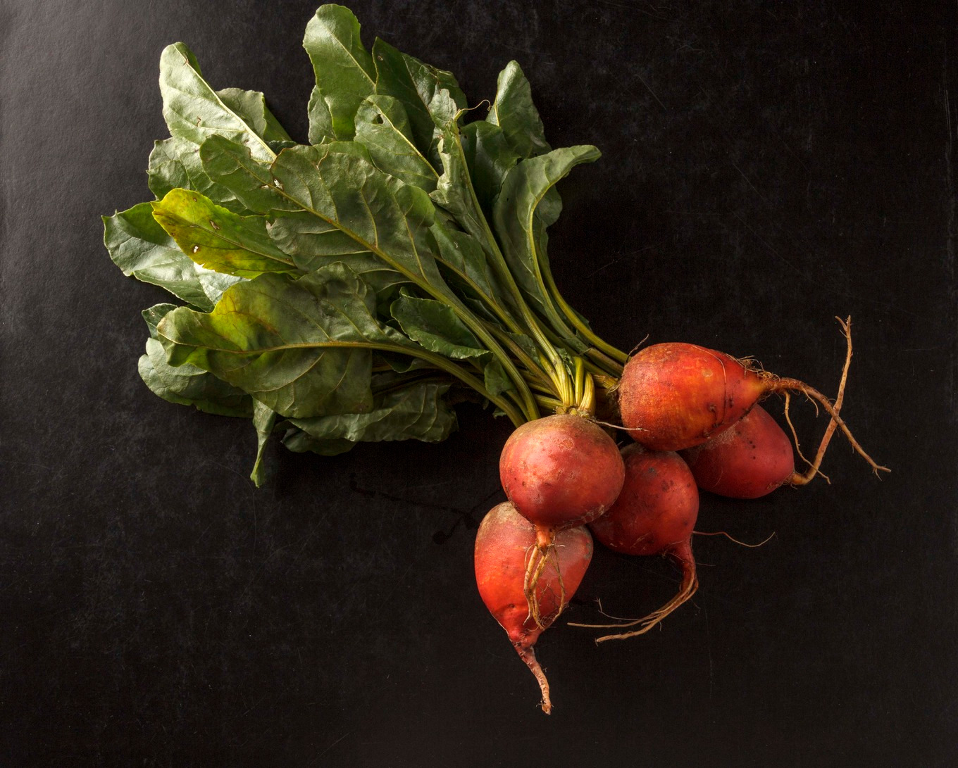 Golden beets on black featuring food, produce, and vegetables | Food ...