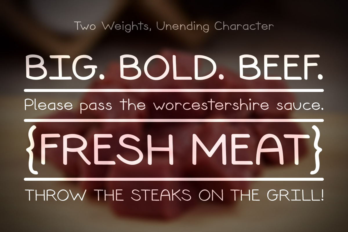 Tender Font Family, a Font by Design Panoply