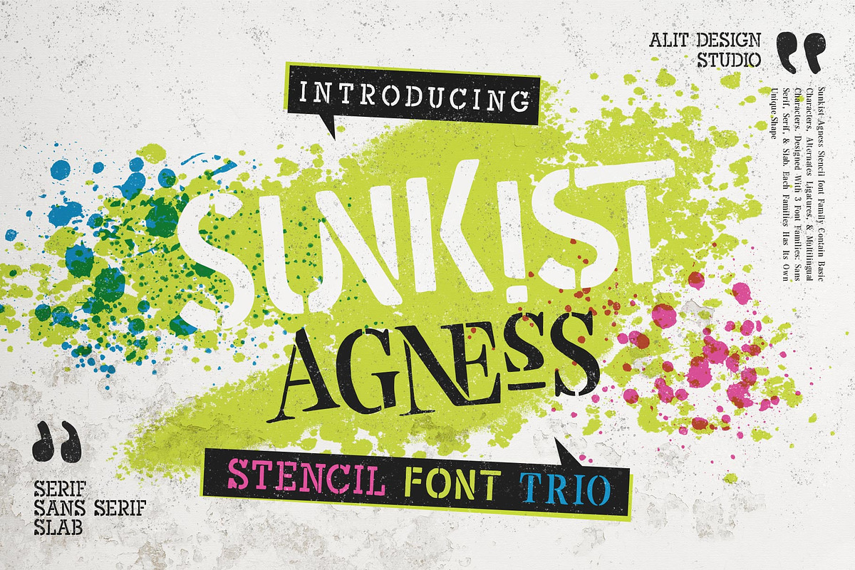 Sunkist Agness Typeface, a Serif Font by alit design