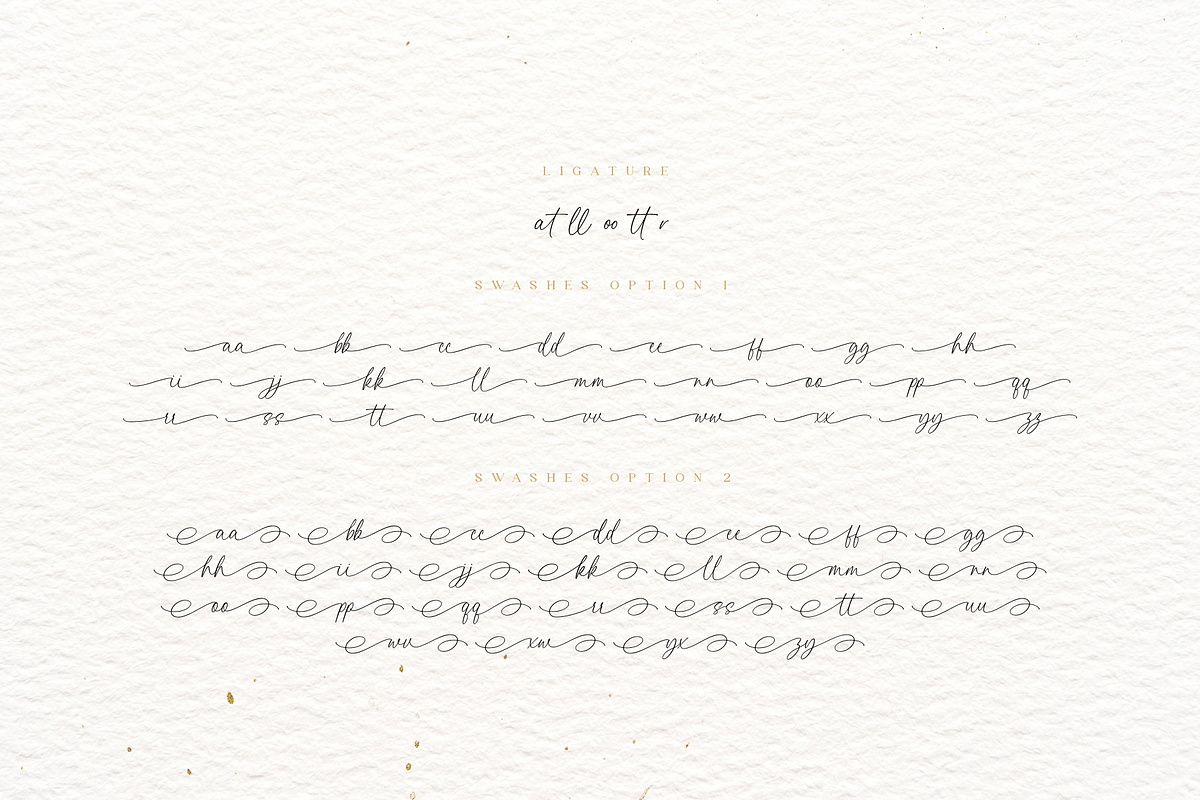 Allaya Calligraphy Font, a Script Font by Pen Culture