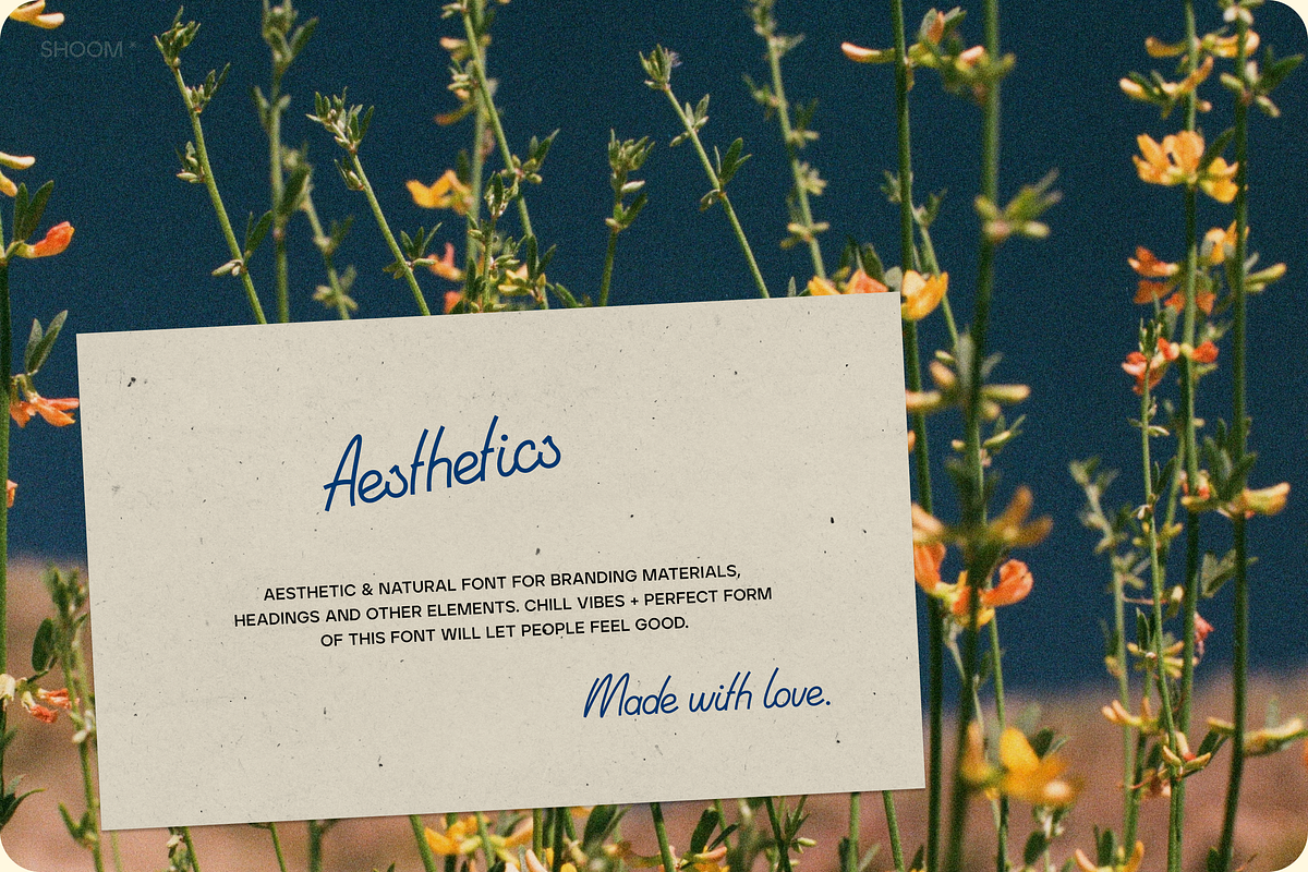 Peacho: Aesthetic Script, a Script Font by SHOOM HOUSE