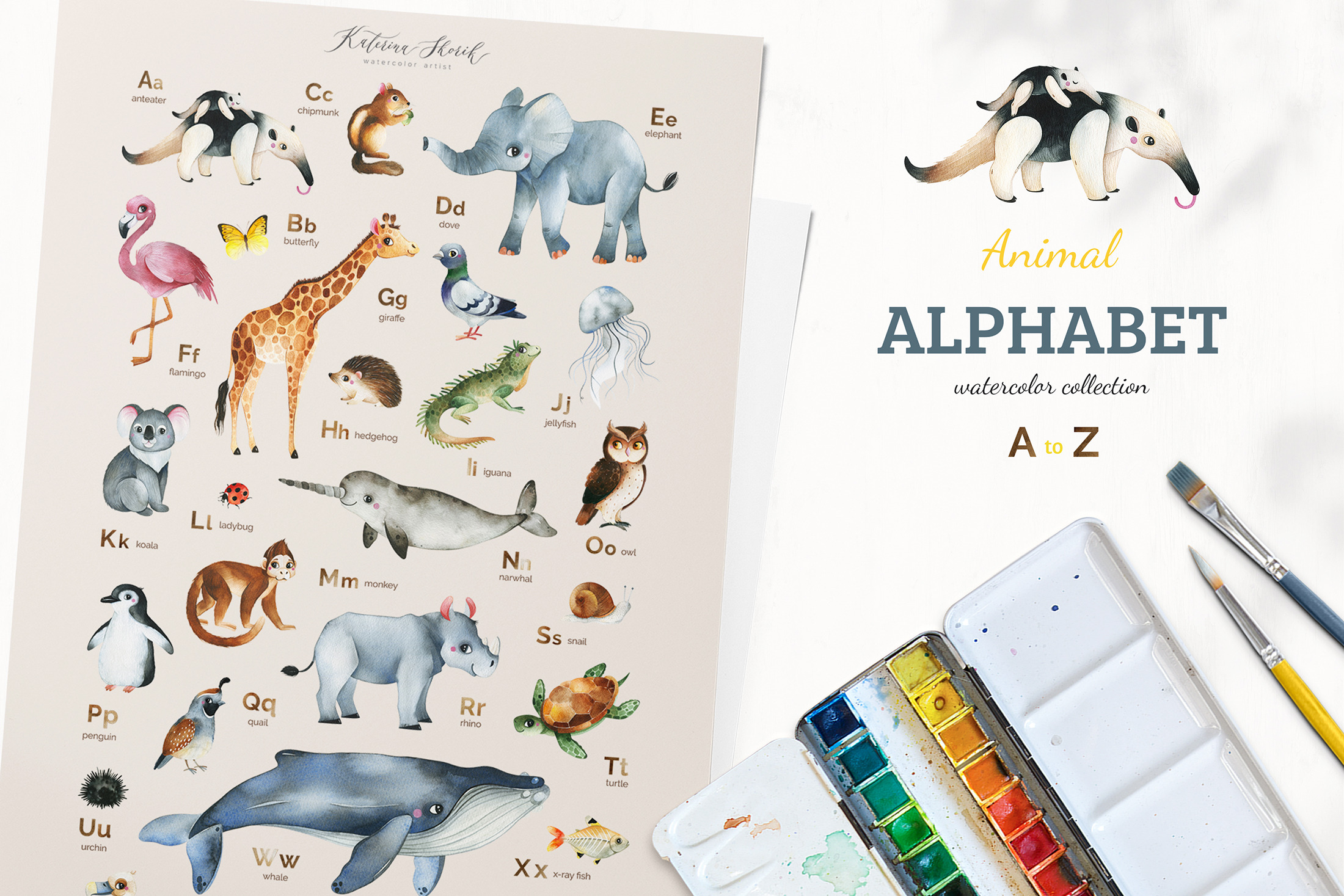 Watercolor Animal Alphabet. A to Z. | Creative Market