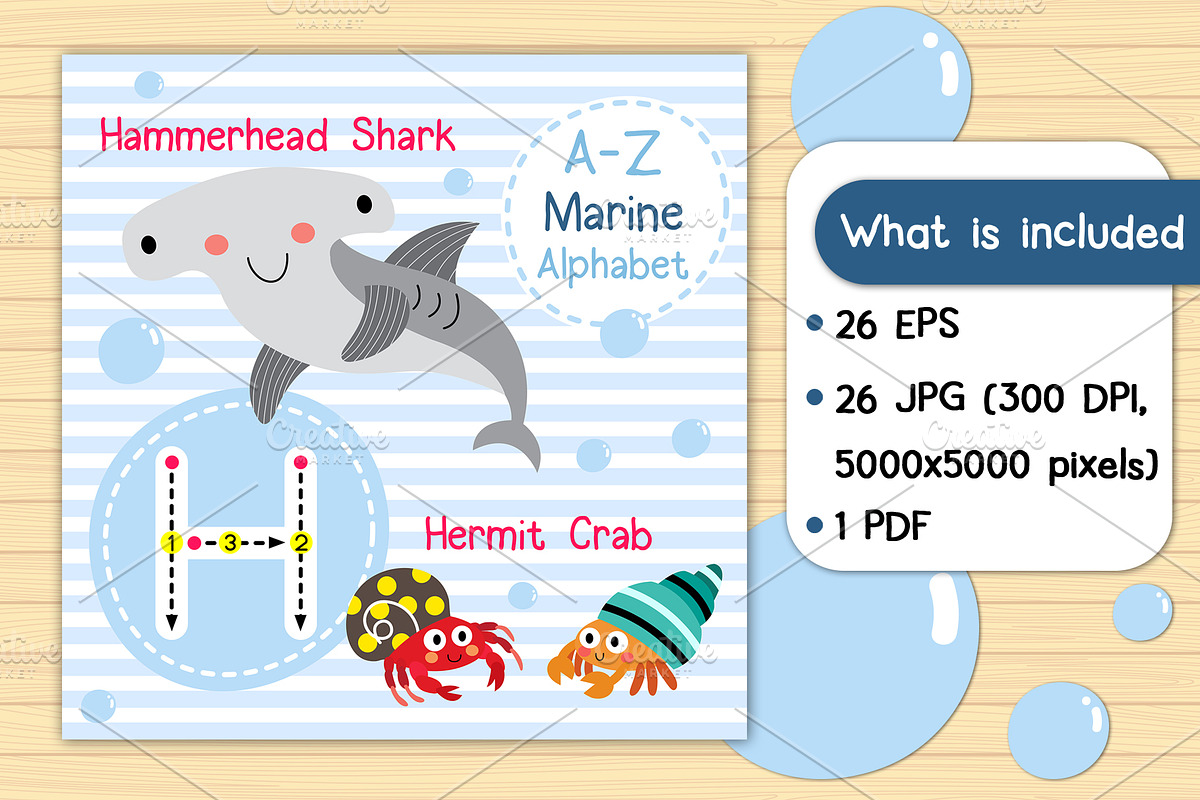 ABC marine vocabulary flashcards, an Animal Illustration by Natchapohn ...