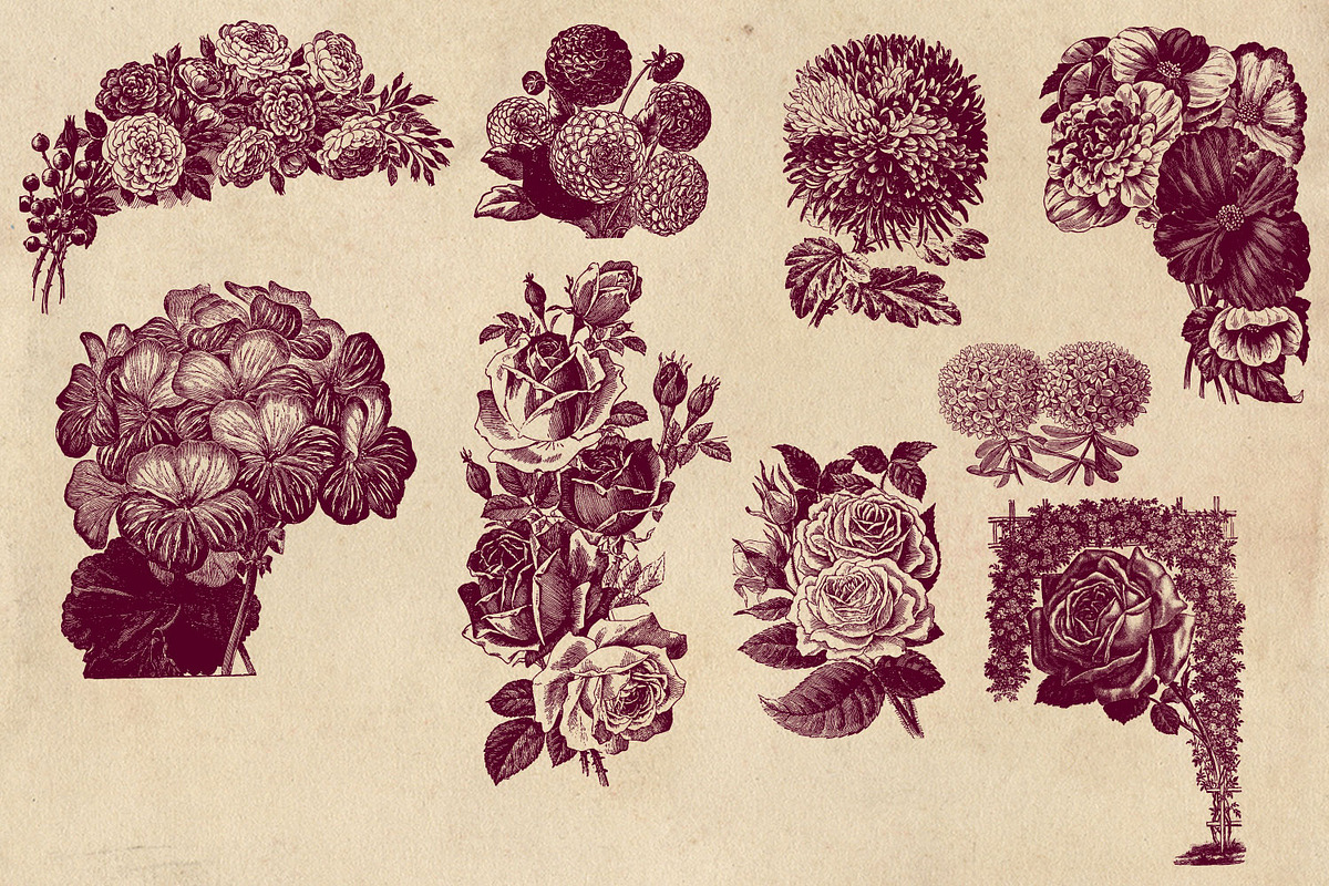 Vintage Flower Vector Graphics 2, an Object Graphic by Eclectic Anthology