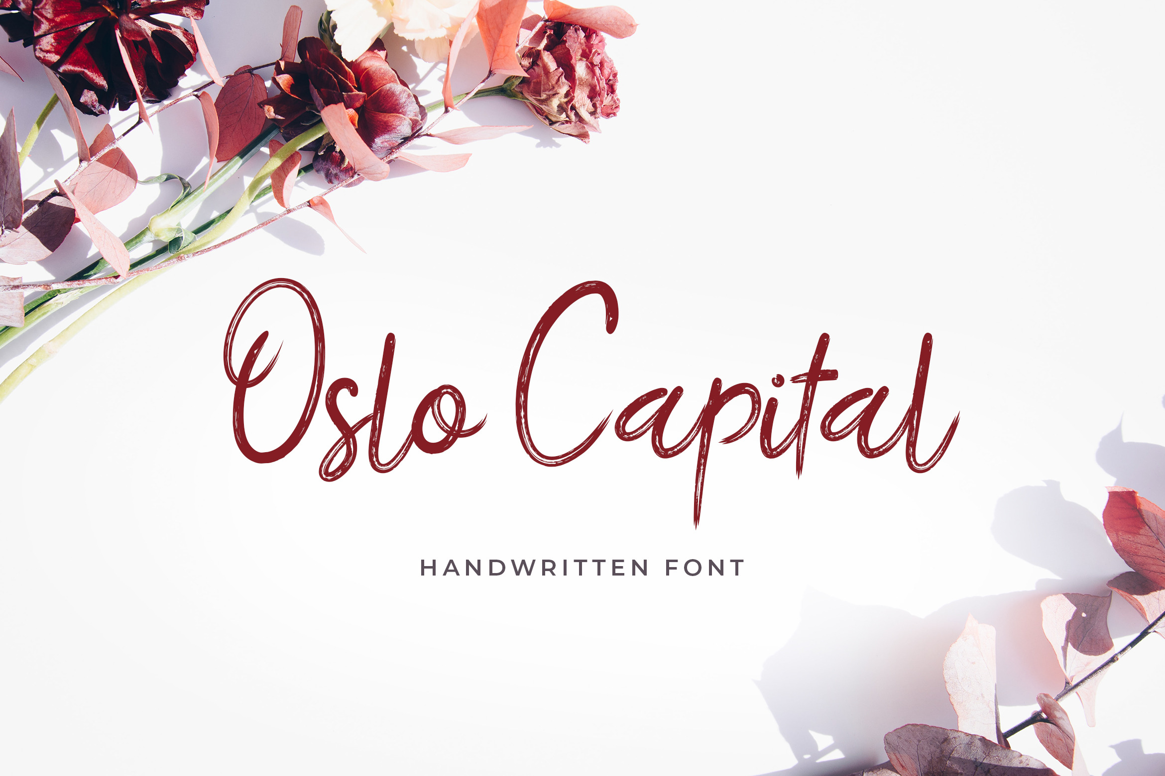 Oslo Capital Handwritten Font, a Script Font by UICreative