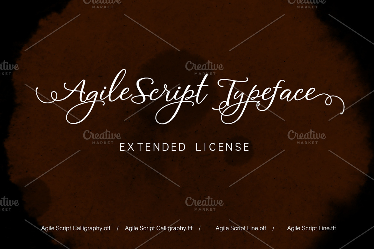 Agile Script Extended License, a Script Font by alphadesign | Creative Market