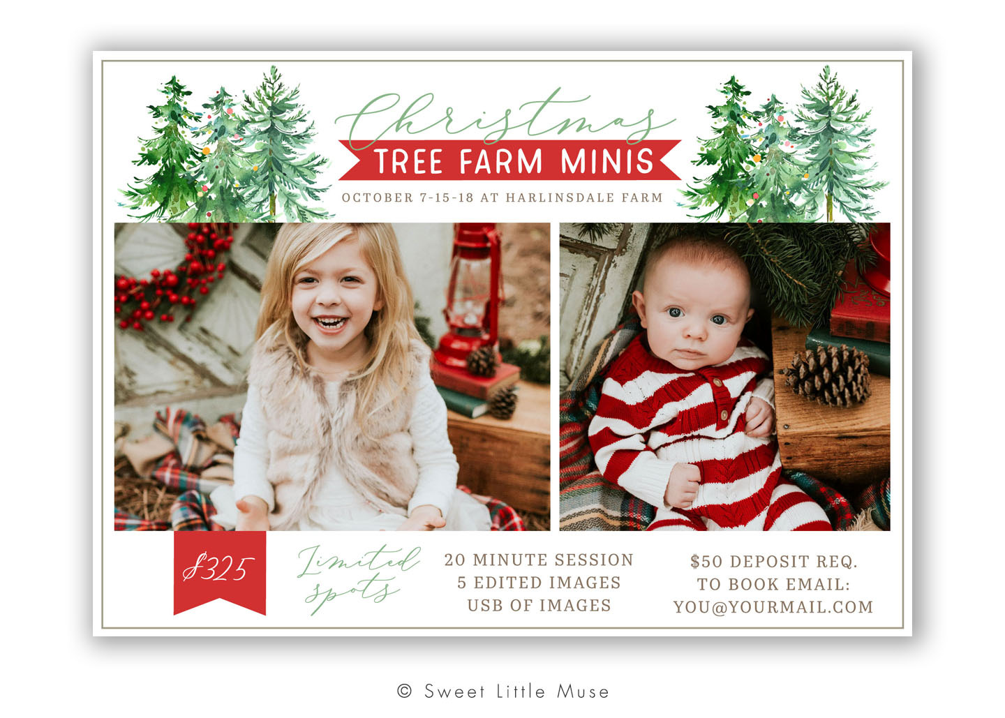 Christmas Mini Session Template, a Flyer Template by Sweet Little Muse
