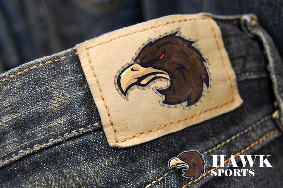 Hawk Sports Extreme, a Branding & Logo Template by LuisFaus