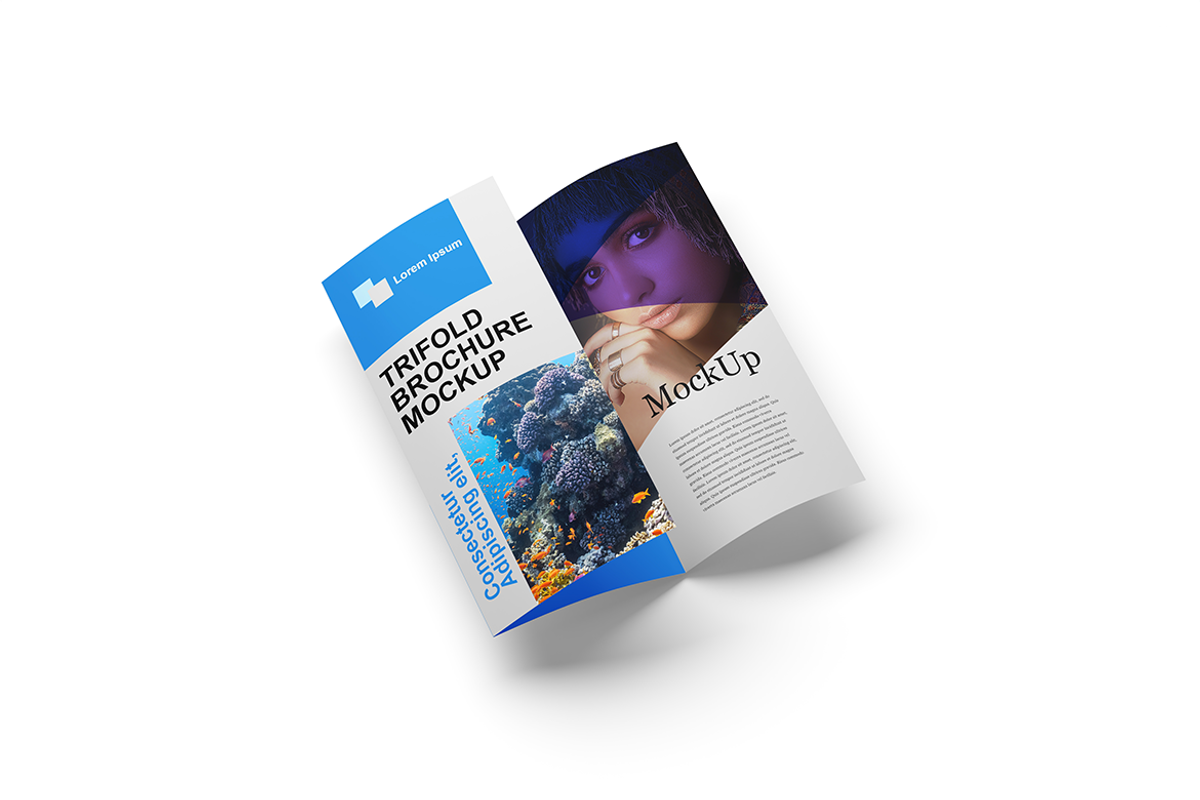 Trifold Brochure Mockup, a Books & Magazine Mockup by groens | Creative ...