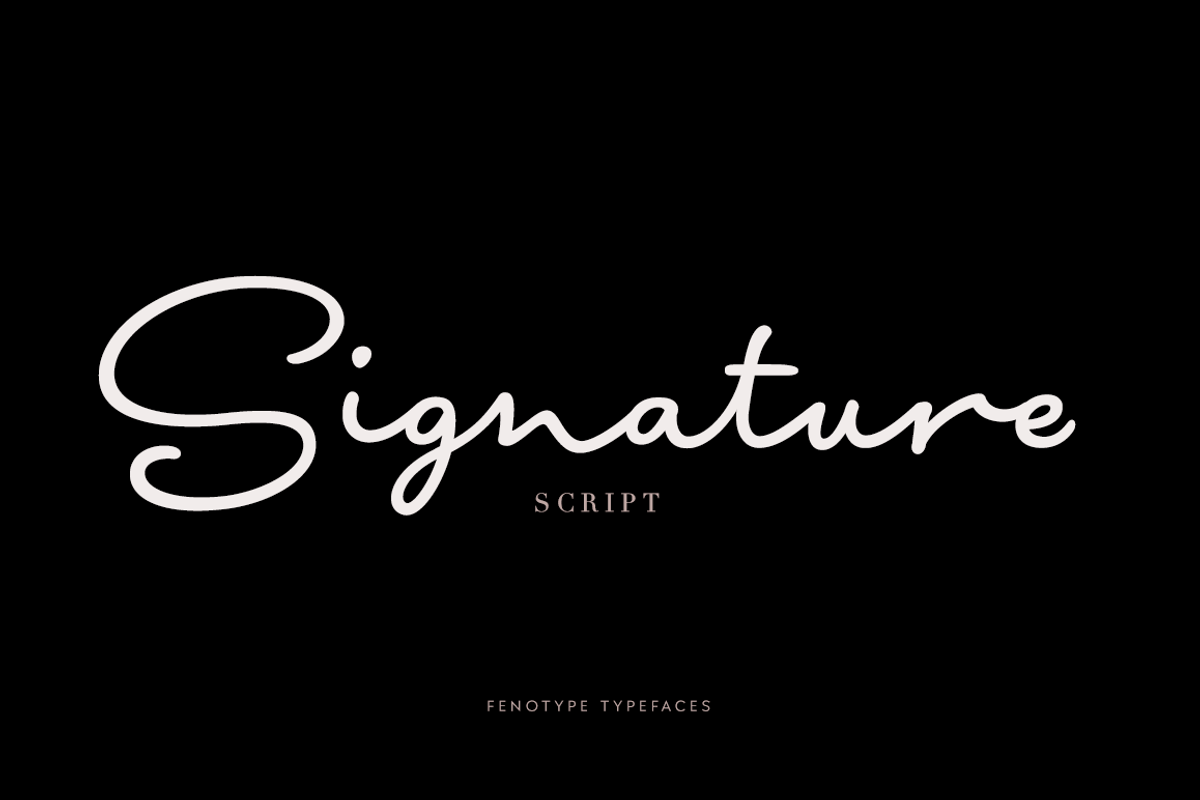Signature Script Intro Sale, a Script Font by Fenotype