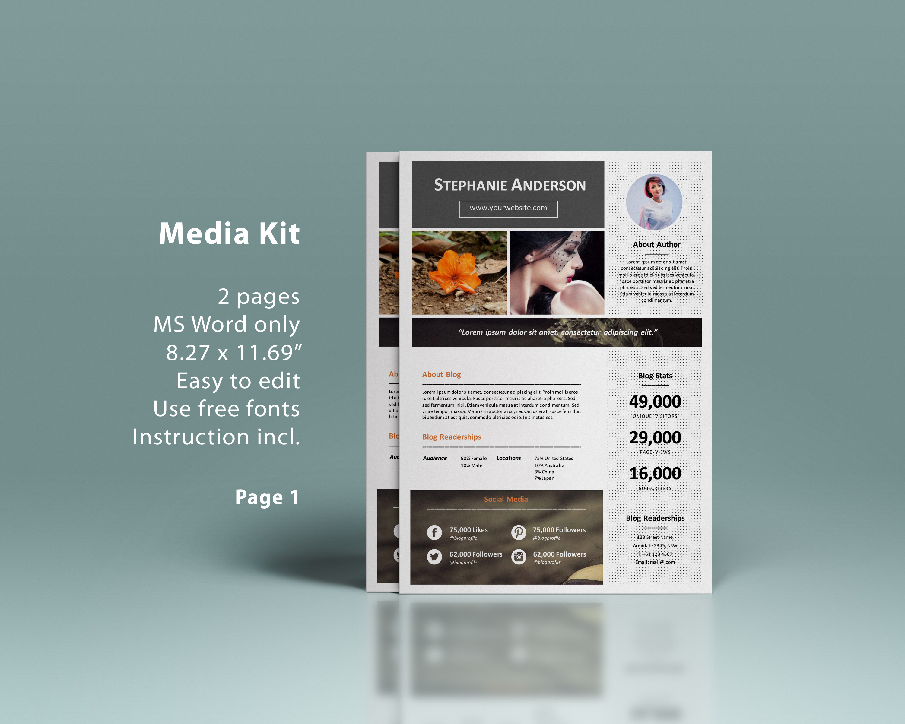MS Word Blog Media Kit, a Presentation Template by Inkpower
