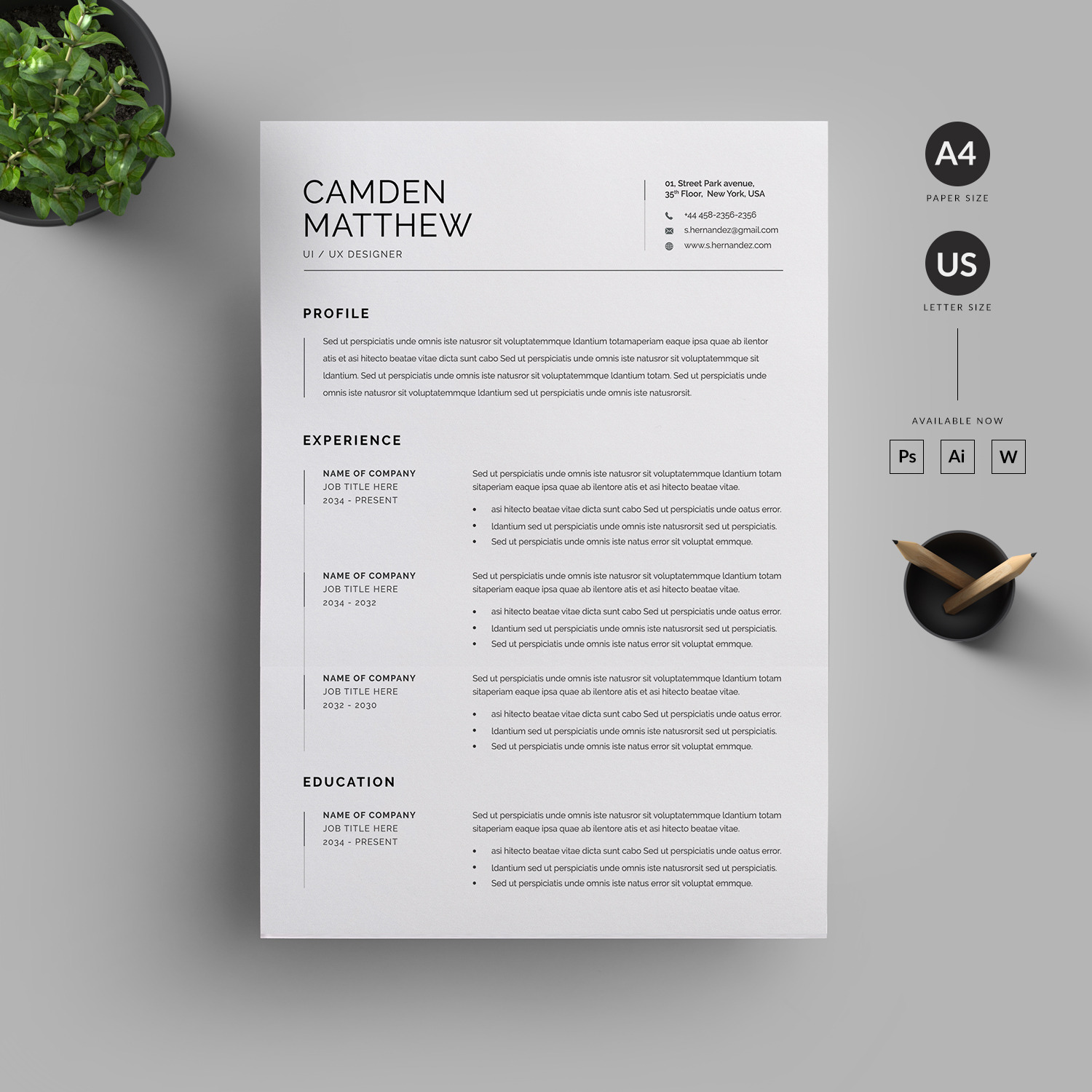 Resume/CV, a Resume Template by Reuix Studio