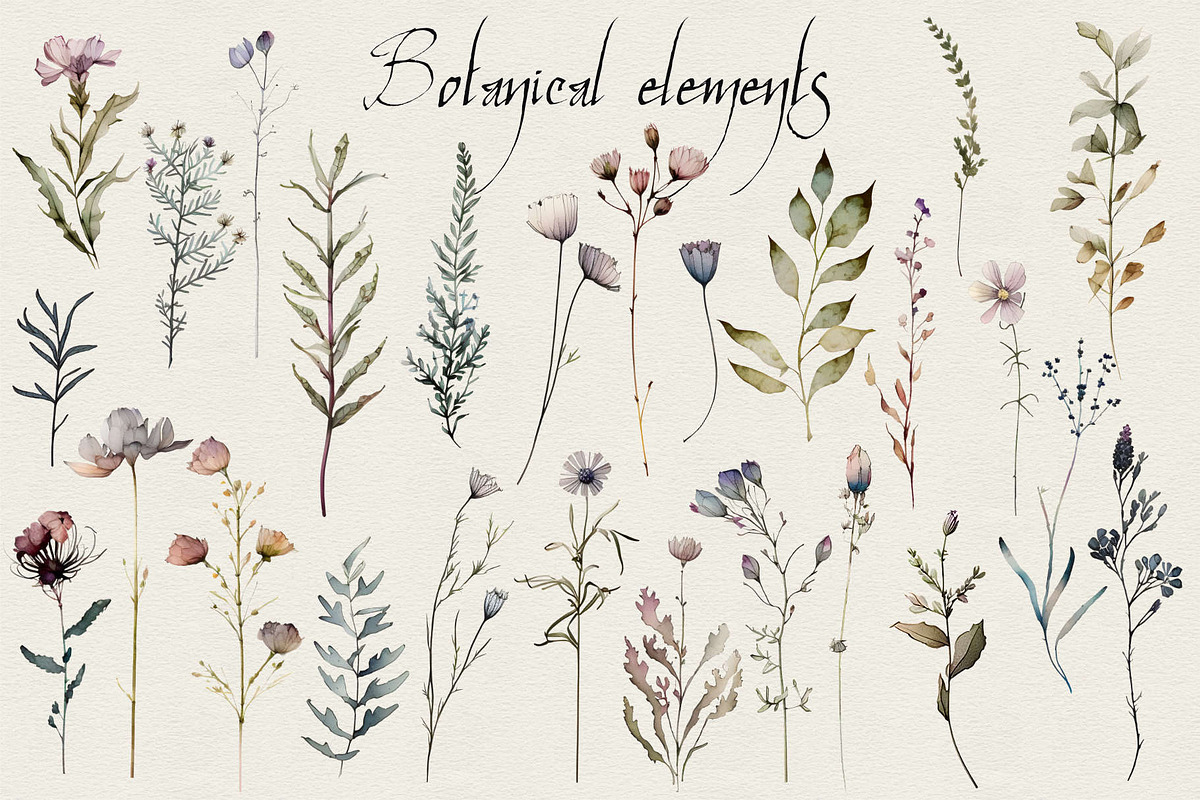 Magic botanical collection, a Decorative Illustration by marie dricot