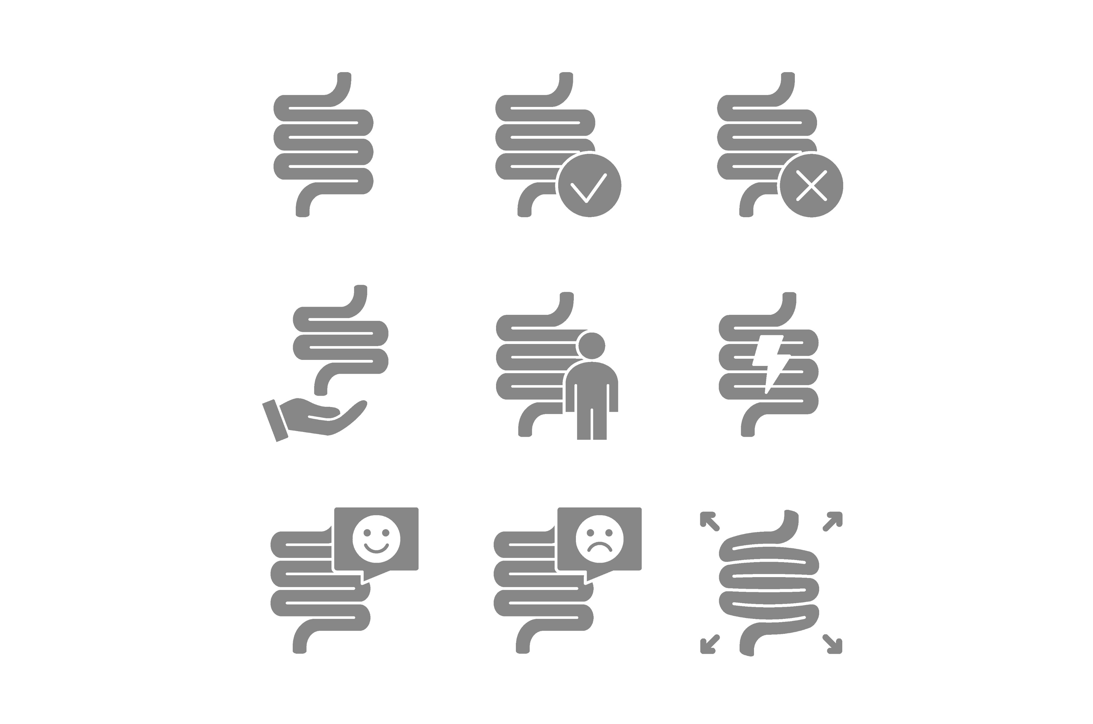 Set of human intestine grey icon, an Icon by GraphiShop