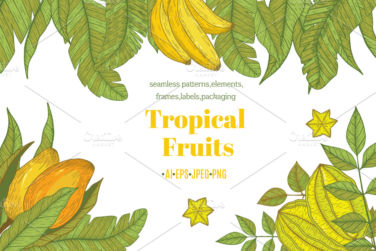 Tropical fruits collection, a Decorative Illustration by TashaDraw