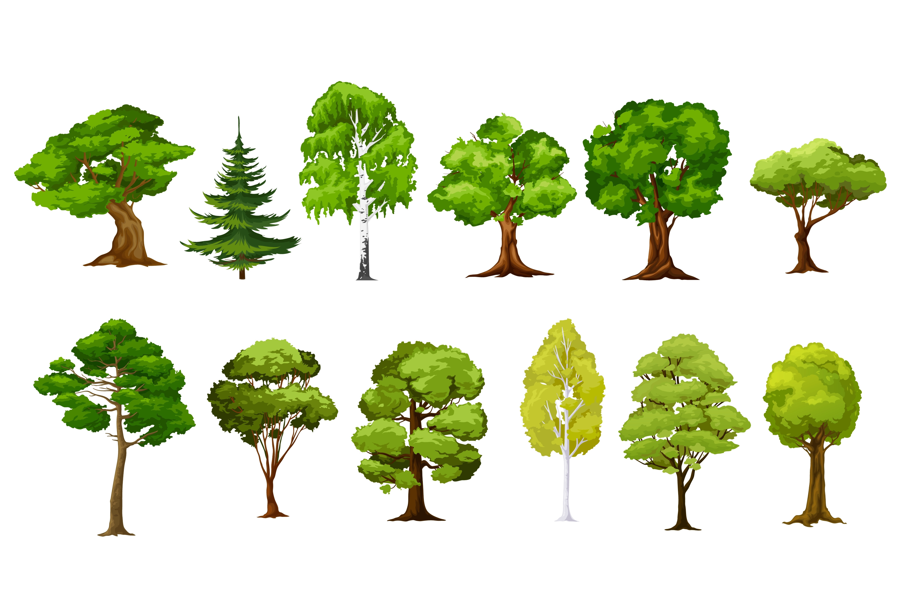 Cartoon isolated forest trees | Object Illustrations ~ Creative Market