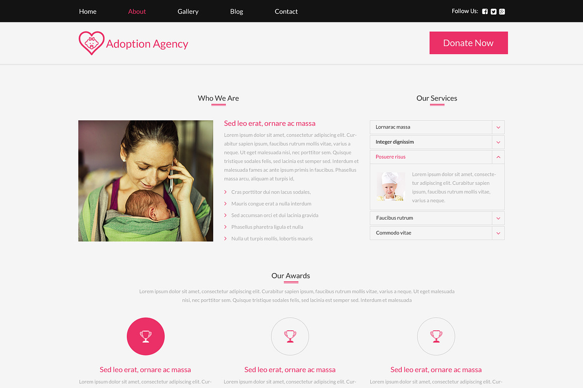 Adoption Agency PSD Website Template, a Websites & App Template by ...