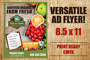 Versatile Flyer Ad, a Flyer Template by SkyvaraSupply
