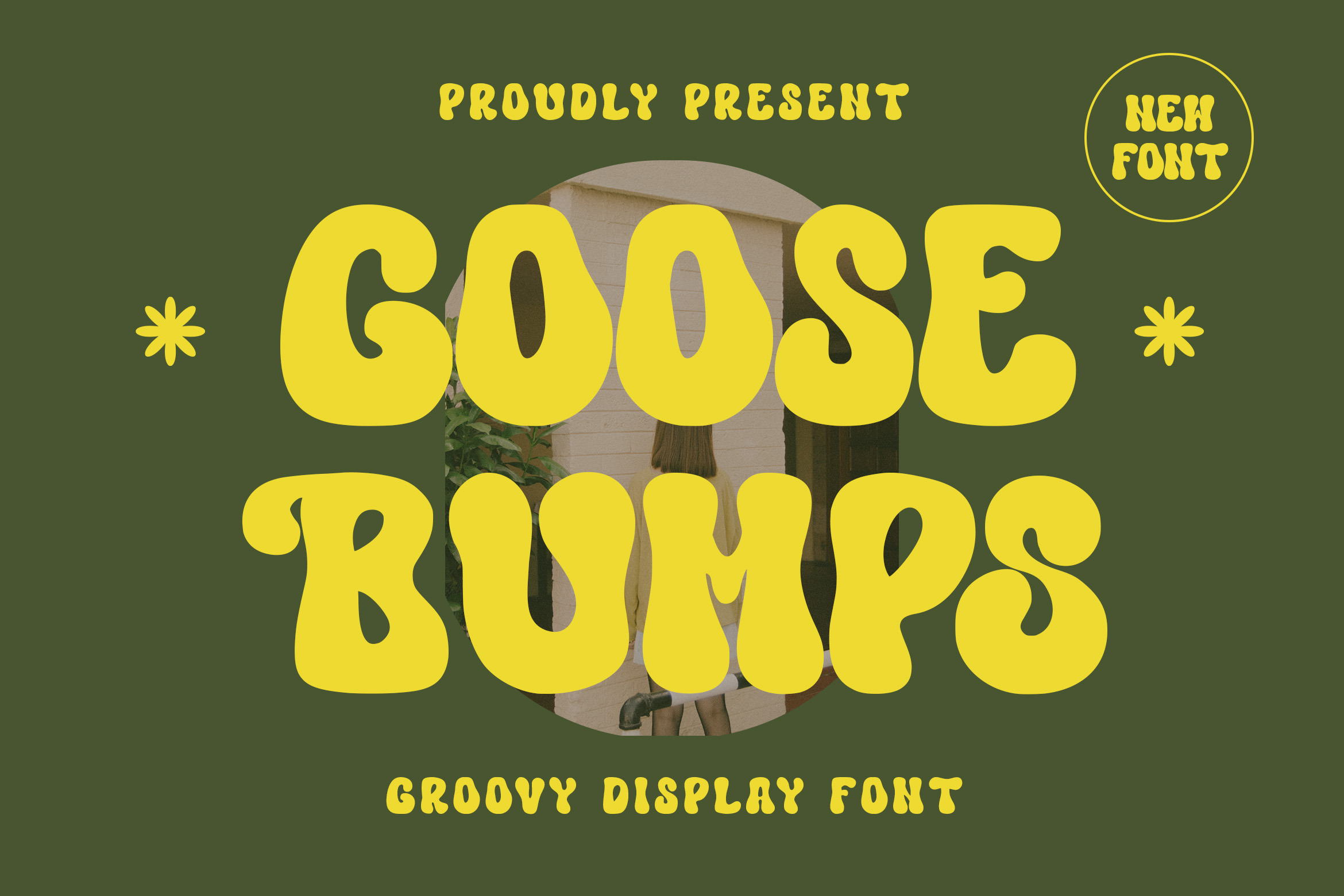 Goosebumps - Display Font, a Script Font by AQR Studio | Creative Market