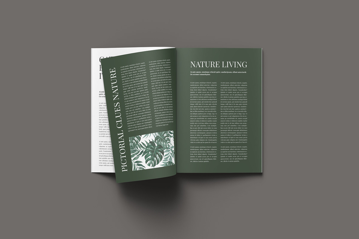 Nature Magazine Template Template, a Magazine Template by evgenystudio