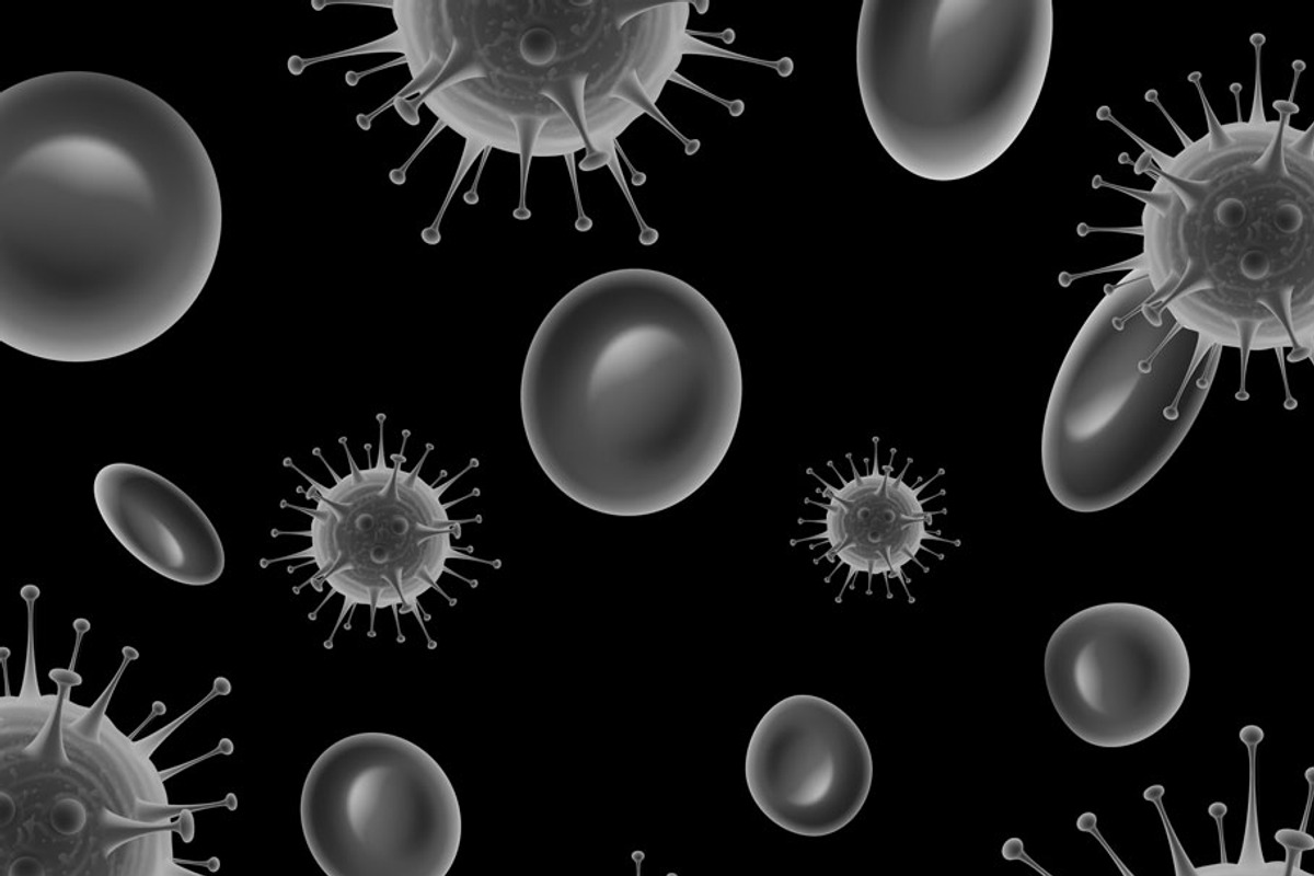 Vector Realistic Bacteria Set, an Education Illustration by Zonda