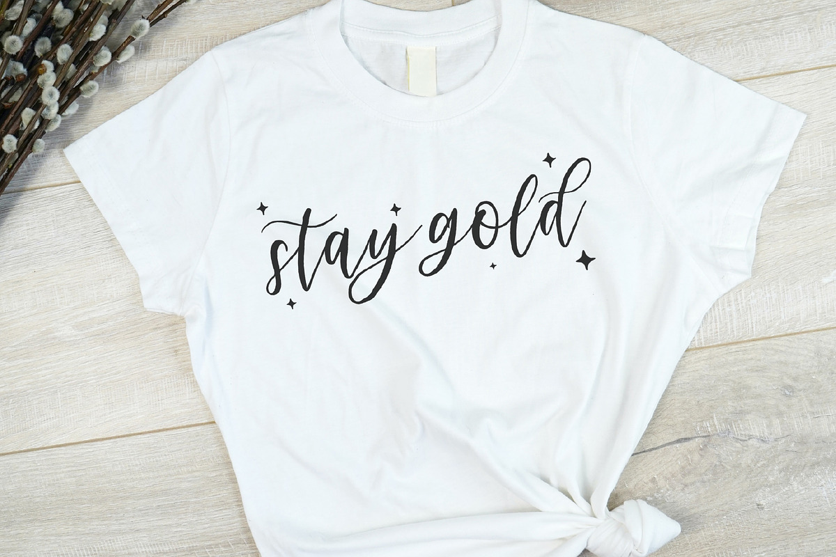 Blooming Rose A Bouncy Script Font