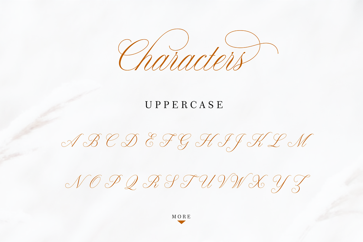 Claudya Script, a Script Font by Sikifonts