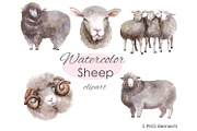 Watercolor Clipart. Sheep Clip art, an Animal Illustration by ...