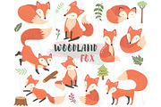 Woodland Animal - Fox Elements, an Animal Illustration by YenzArtHaut