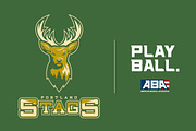 Stag, a Font by Aschwege Creative