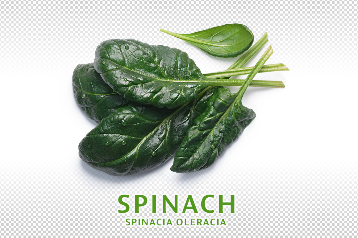 Spinach from above, a Food & Drink Photo by Hortimages
