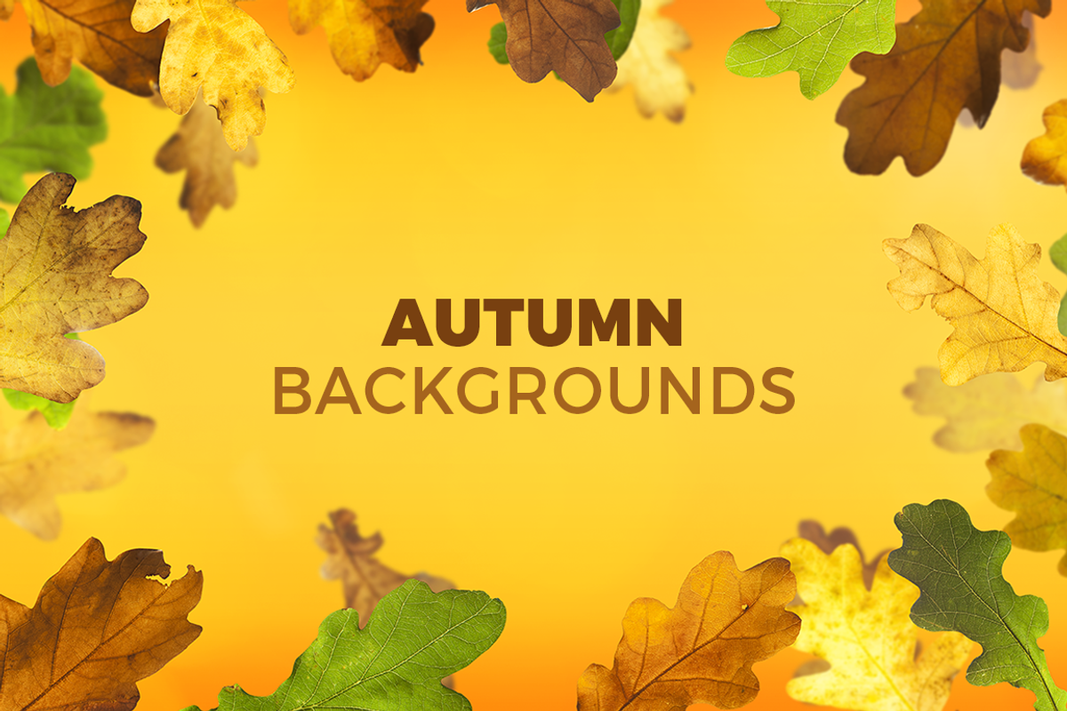 8 Colorful Autumn Backgrounds 50%off, a Background Graphic by Mint Pixels