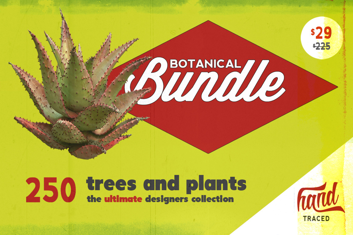 Botanical Bundle - 250 Plants *SALE*, an Object Graphic by envirographic