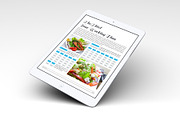 Health Plan E-Book, a Magazine Template by obayes